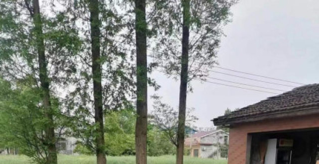 南县中鱼口镇：“线上＋线下”动态监测帮扶 守住防返贫底线腾讯新闻 5222