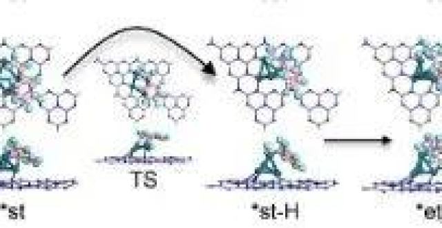 Angew：C3N4负载的钯单原子光催化剂和水为质子源的转移加氢_腾讯新闻