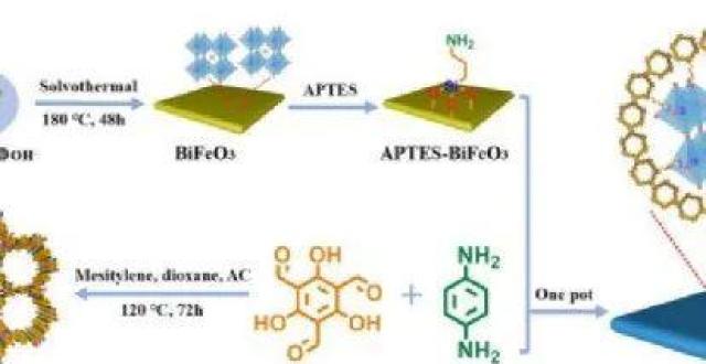 兰亚乾＆程新＆李魁Angew：BiFeO3＠COF Z-Scheme用于高效整体水分解_腾讯新闻