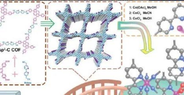 刘云圻院士/赵岩团队Small：COFs上具有平面外配位结构的单原子催化剂_腾讯新闻
