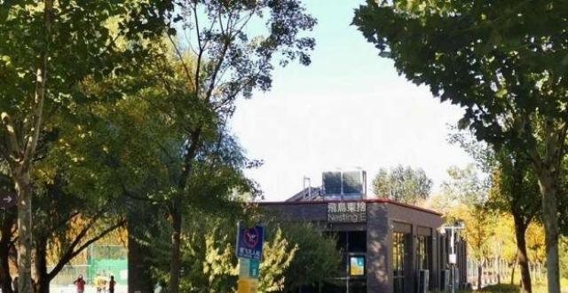 于森林中享受阅读之趣 京北唯一森林系书店落户昌平 腾讯新闻
