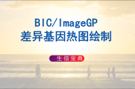 高颜值免费在线 SCI 绘图工具（BIC/ImageGP）-009差异基因热图绘制_腾讯新闻