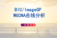 颜值免费在线 SCI 绘图工具（BIC/ImageGP）-012-WGCNA在线分析_腾讯新闻