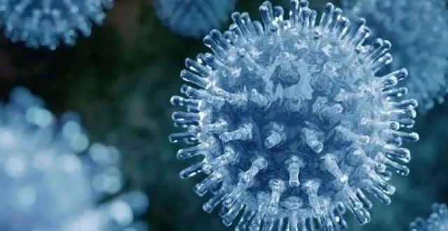 Science|多价mRNA疫苗可对抗已知所有流感毒株_腾讯新闻 Science|多价mRNA疫苗可对抗已知所有流感毒株_腾讯新闻