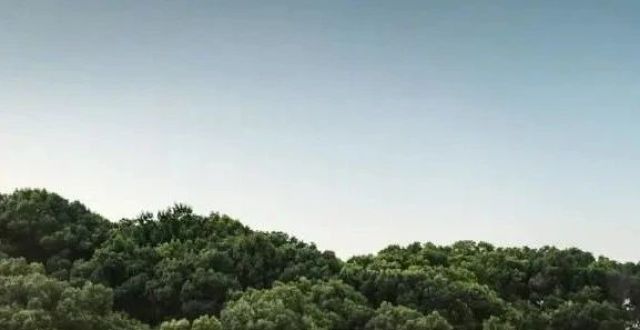 MG7盲订开启 12月31日前下订可锁定购置税补贴_腾讯新闻