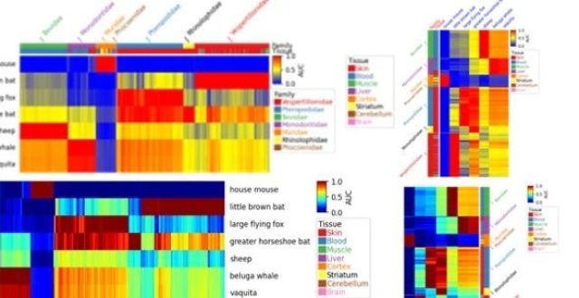 PyComplexHeatmap进阶教程：用python画热图的【行】/【列】注释信息_腾讯新闻