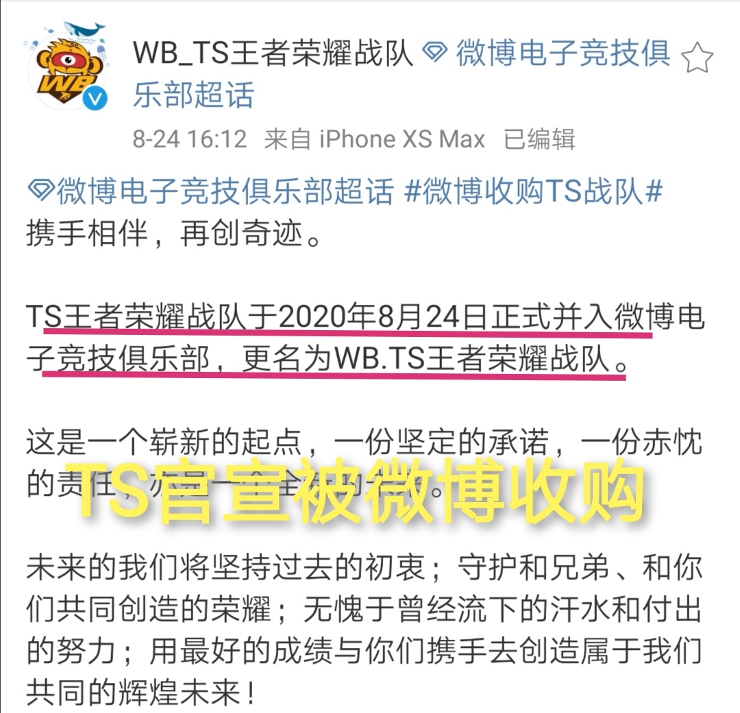 重磅消息，TS、YTG官宣被微博、快手收购，网友直呼新队标太丑？