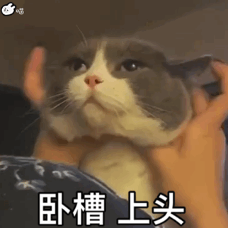 我不要吃菜 我要吃麦当劳丨第335期喵表情包 腾讯新闻