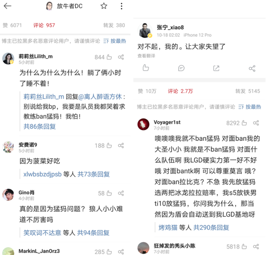 DOTA2 TI10：为什么不BAN猛犸？前妻爆料！LGD痛失冠军后教练xiao8深陷菠菜假赛风波