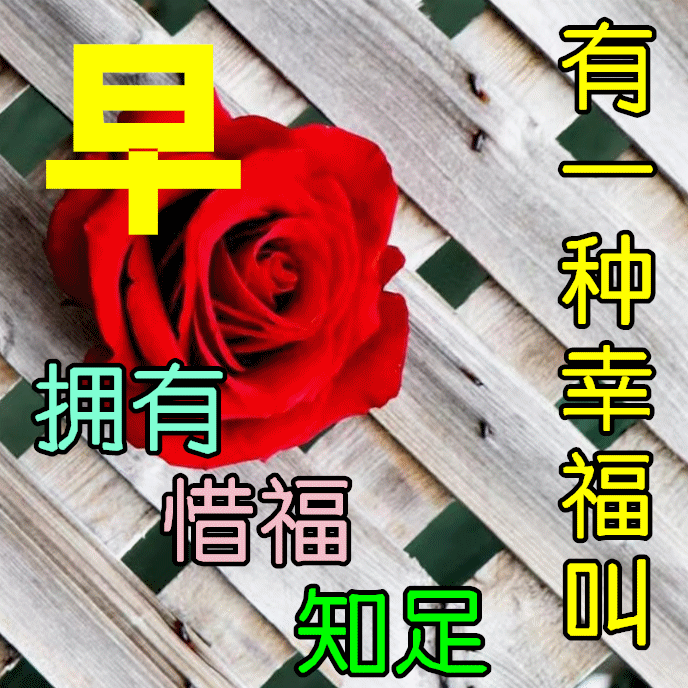 新版早安祝福语动图美图集合阳光励志早安经典吉祥语录 腾讯新闻