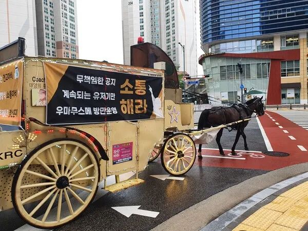 赛马娘韩国惹事了玩家集资用马车游街嘲讽发行商Kakao道歉