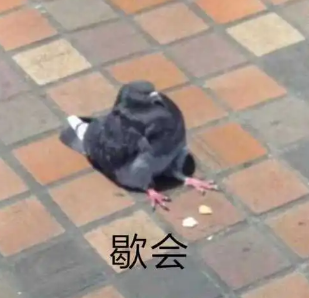 口袋奇兵游戏角色详情李红玉亚历克斯