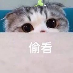 7911集合！韦神GODV直播五周年快乐！