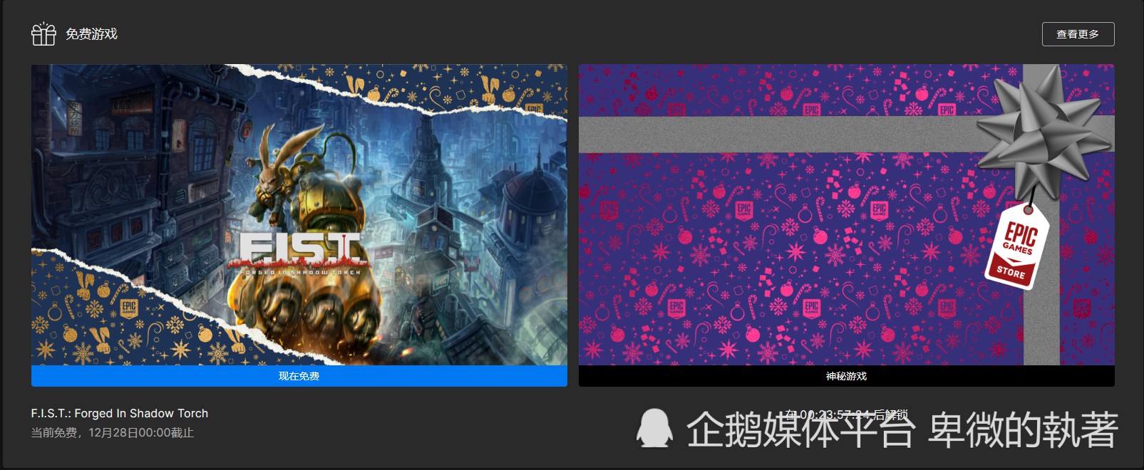 【epic】Epic 15天免费盛宴第十二弹，《暗影火炬城》限时领取