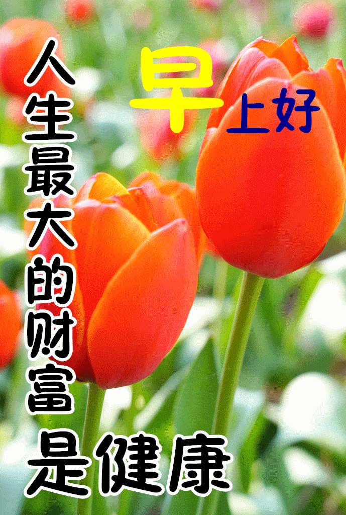 3月25日周末早安正能量说说 周六早安朋友圈文案短句子 周末愉快朋友圈动图美图大全 腾讯新闻