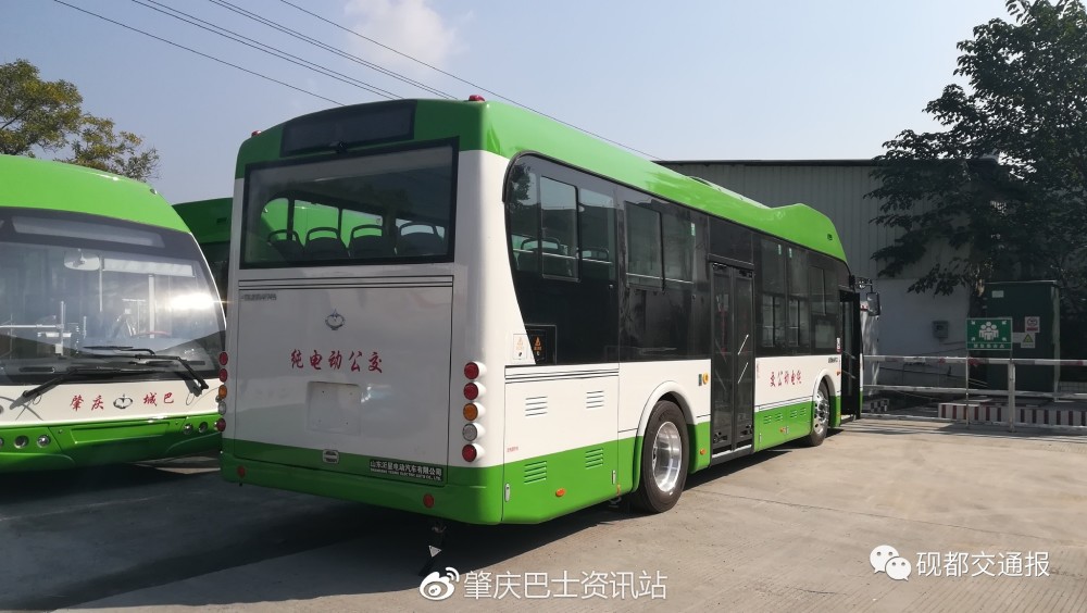 粤港巴士往肇庆班车 粤港巴士怎么过关 随意云