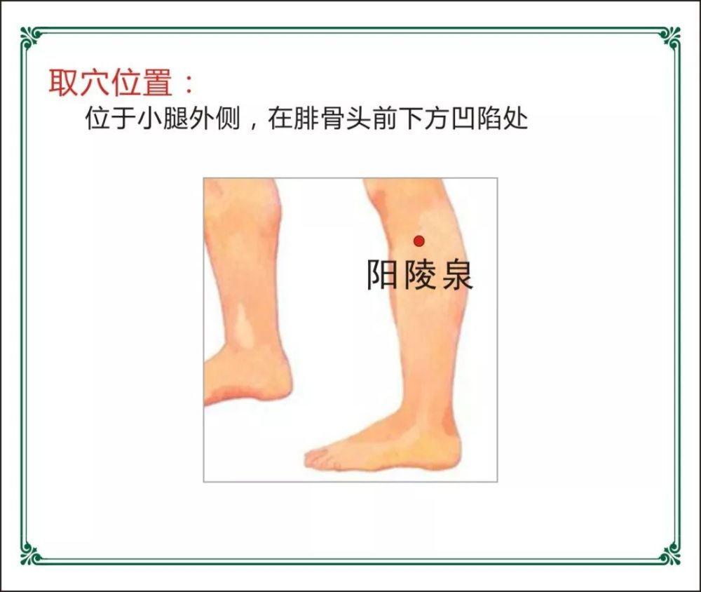 穴位 穴位就是中药经络就是药房太有用了