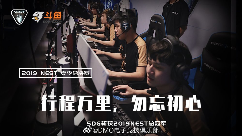 SDG斩获2019NEST冠军，你可知这个比赛的冠军都有梗？