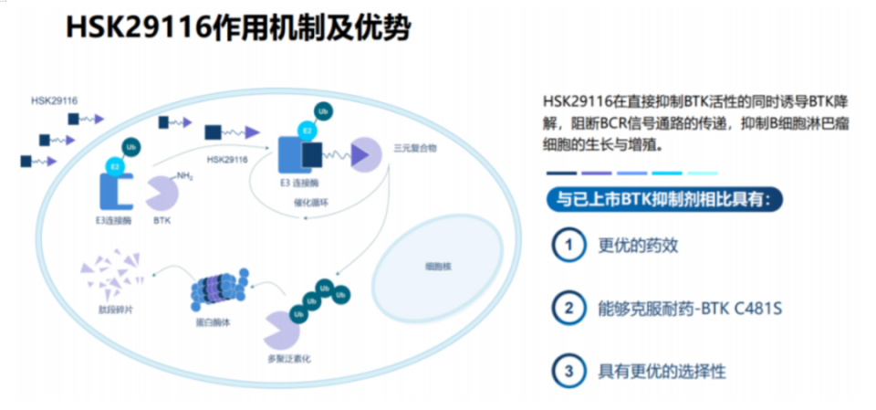 手握“5+X”张王牌，最具预期差的创新药小王者_腾讯新闻