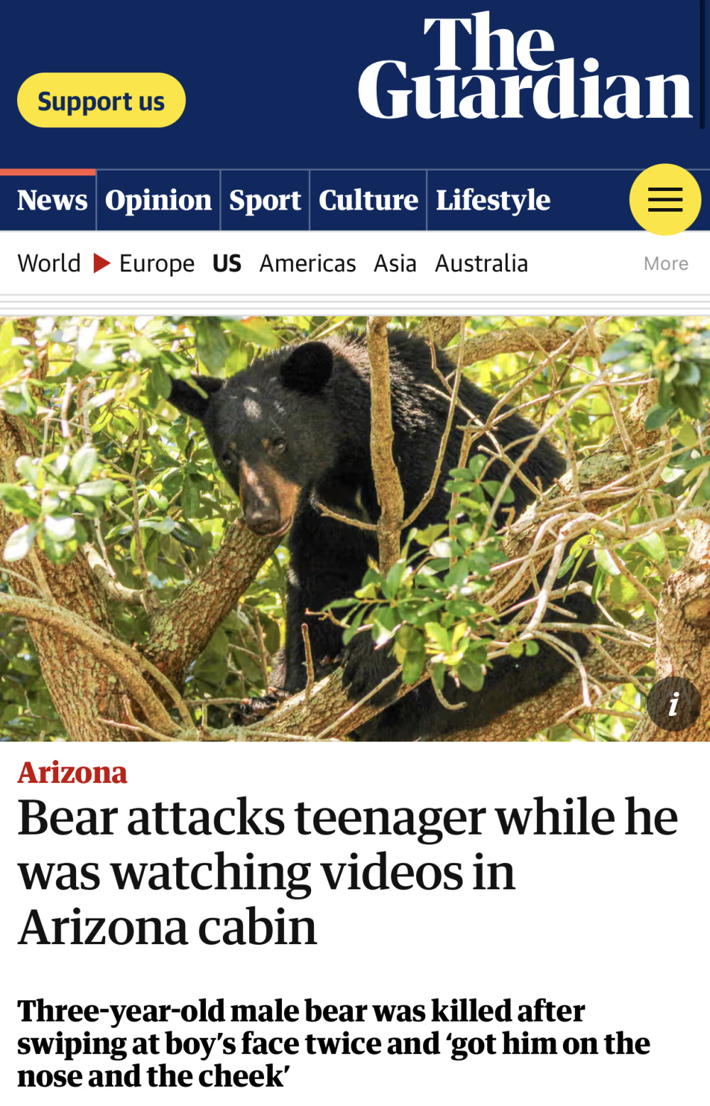 人在家中坐，熊从门外来！黑熊入室咬伤少年，遇黑熊怎么办？别再听信传说了_腾讯新闻