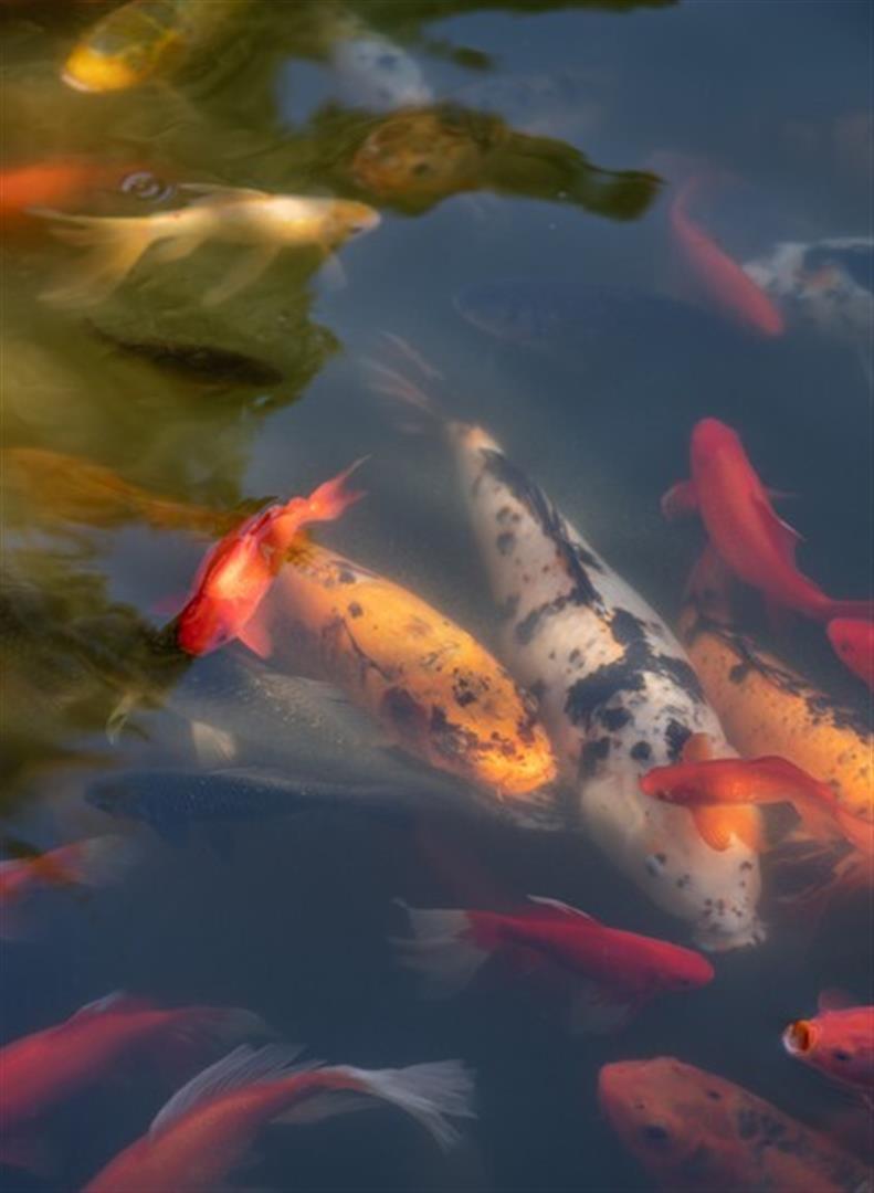 情感爆文：中年后岁月沉淀的善良与包容，最珍贵财富也是无声力量_腾讯新闻