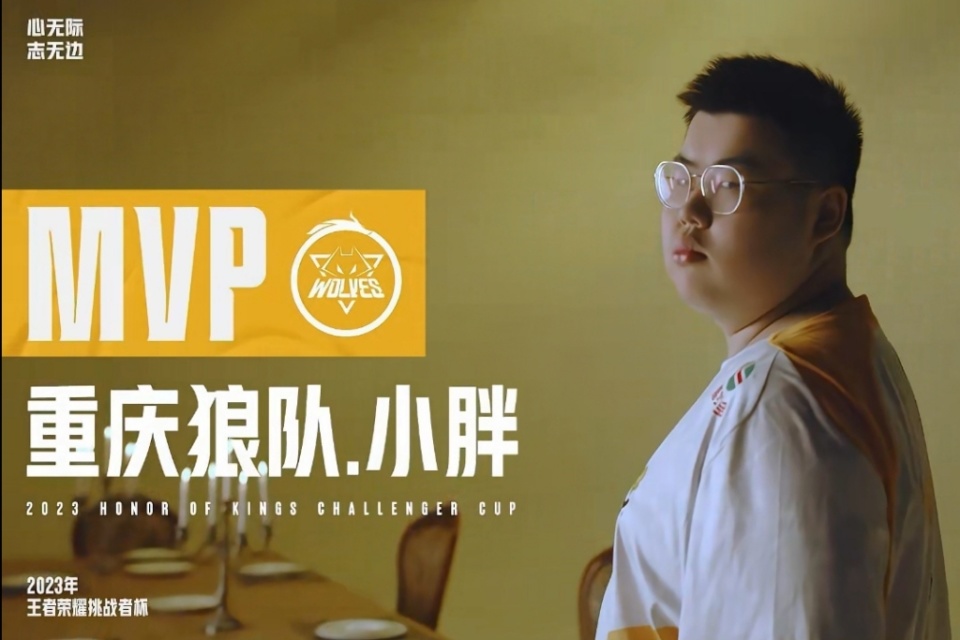 小胖正式超越暖阳，离目标还差三个冠军，FMVP皮肤给到“胖虎”_腾讯新闻