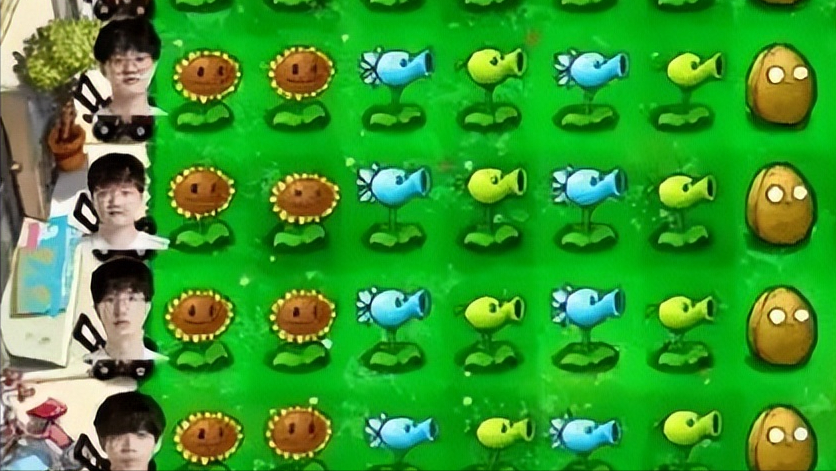 WBG粉丝全员皆僵尸？TheShy黑梗被玩出花，PVZ大战毫无火药味_腾讯新闻