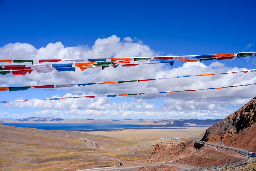 探秘青藏高原，解锁自然景观、人文风情、野生动物_腾讯新闻