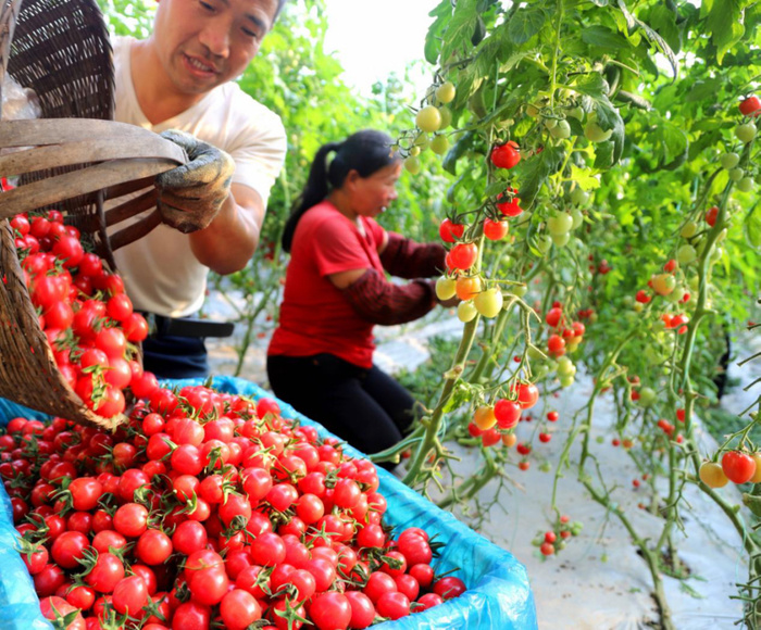 济阳，黄河之畔冉冉升起的未来新城_腾讯新闻
