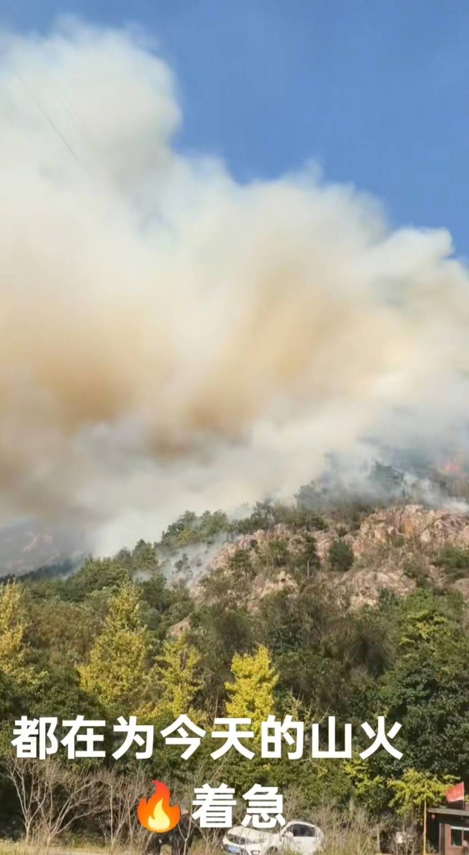 زن بدنساز مقعد