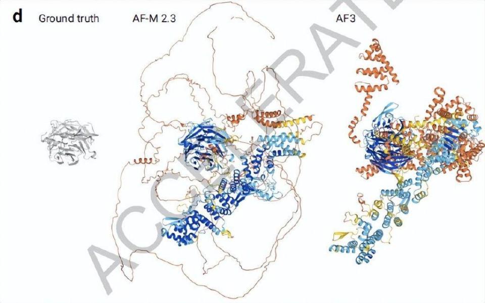 AlphaFold3：生物分子预测的大一统工具？_腾讯新闻