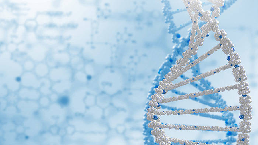 康朴生物获B+轮融资，分子胶蛋白质泛素化降解药物国际临床加速_腾讯新闻