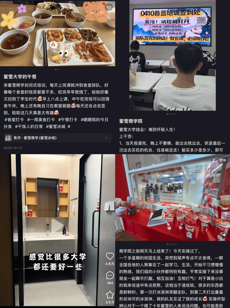 在蜜雪“读大学”，不只是一句玩笑_腾讯新闻