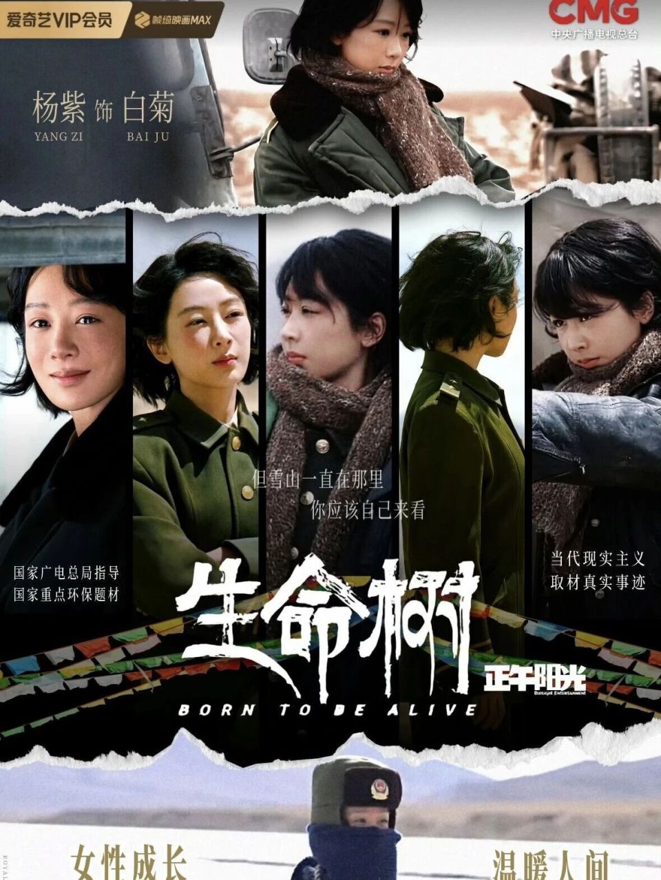 《生命树》剧组4000米高原实景拍摄，杨紫胡歌全素颜抗冻超拼！_腾讯新闻