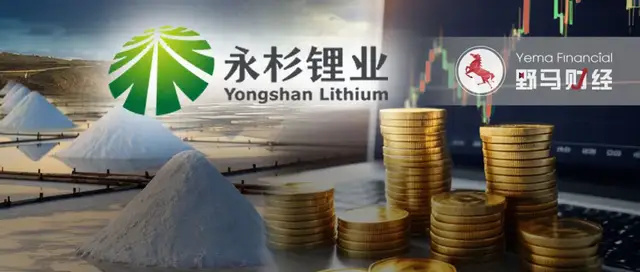 豪掷8亿！“福建富豪”吴华新吞下“杉杉系”永杉锂业_腾讯新闻