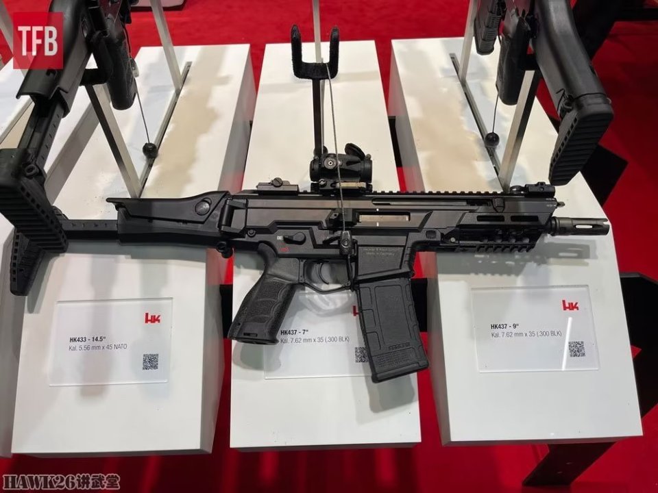 黑克勒科赫HK437步枪 口径.300BLK 瞄准执法部门微声武器需求_腾讯新闻