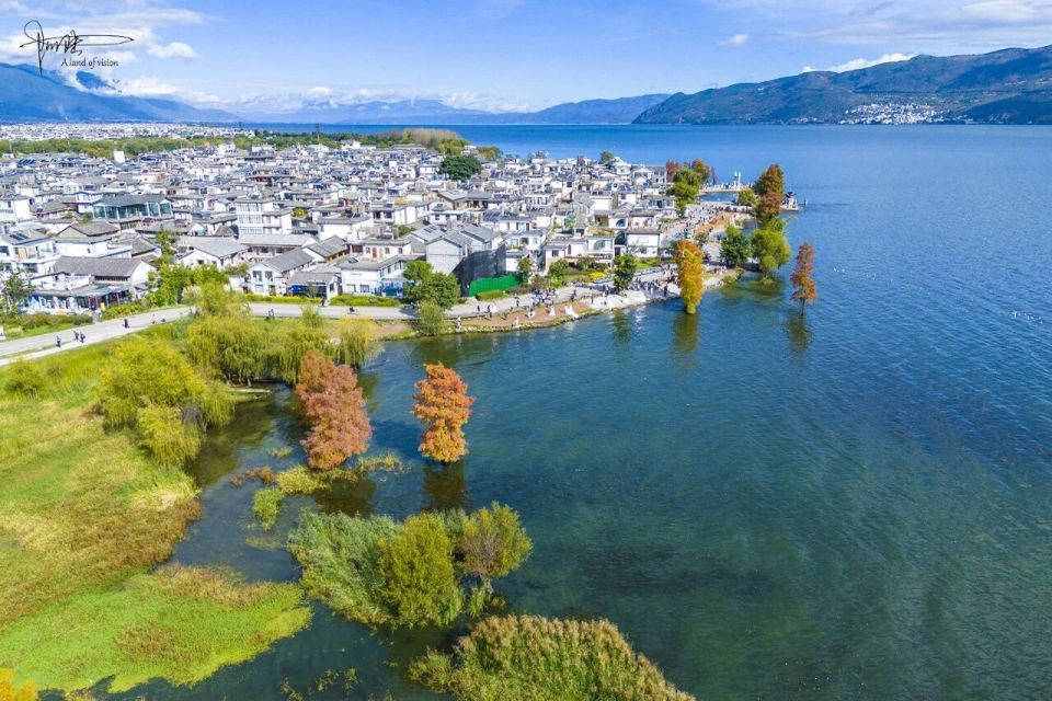 龙龛码头太有名，每天有很多人过来拍婚纱，但他们却不知道夫妻树_腾讯新闻