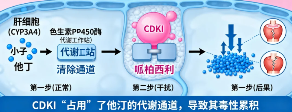 抗癌药遇上降脂药：这个“沉默”的药物组合可能暗藏致命肌肉风险_腾讯新闻