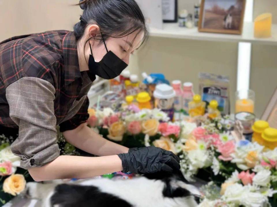 从白手起家到月入百万：女性“轻创业”成新浪潮_腾讯新闻