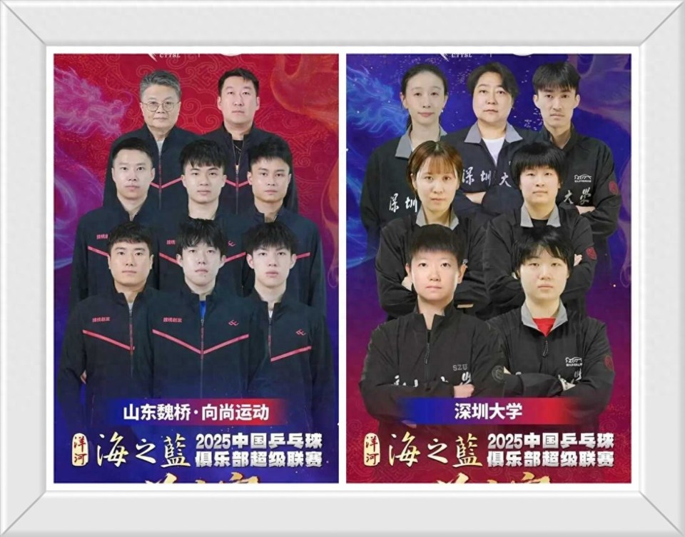 双双破2000万张！孙颖莎再创得票新高，樊振东第二！王楚钦670万_腾讯新闻