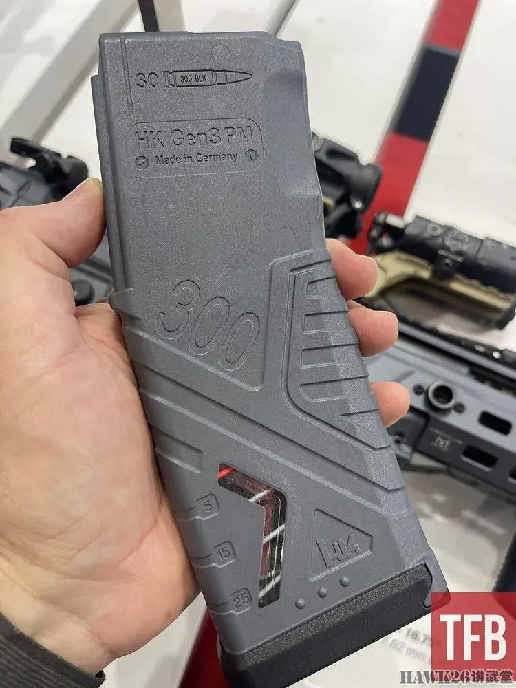 细看：黑克勒-科赫G39步枪 .300BLK口径 德国特种部队的专用武器_腾讯新闻