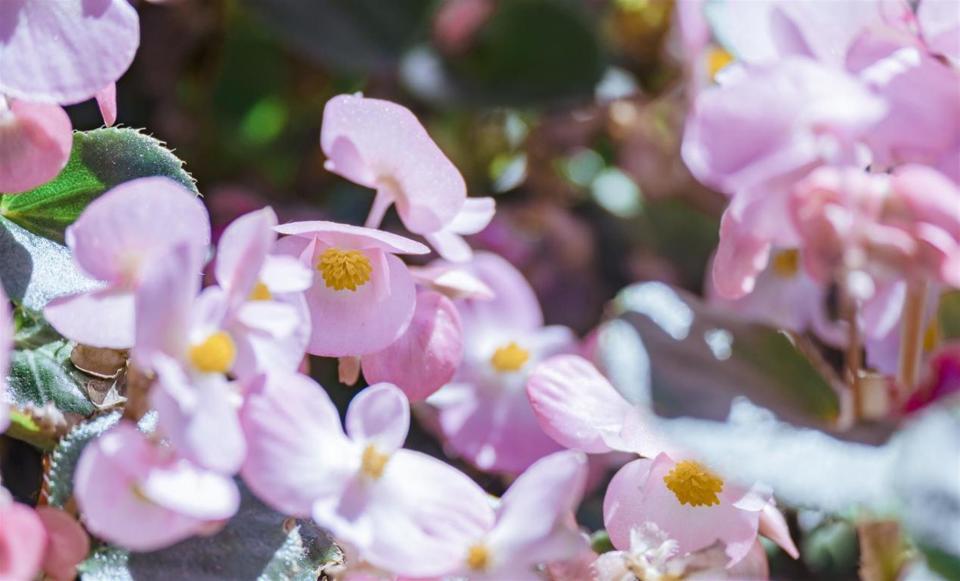 老了才真正看透：兄弟姐妹关系再好，也别插手这4件事_腾讯新闻