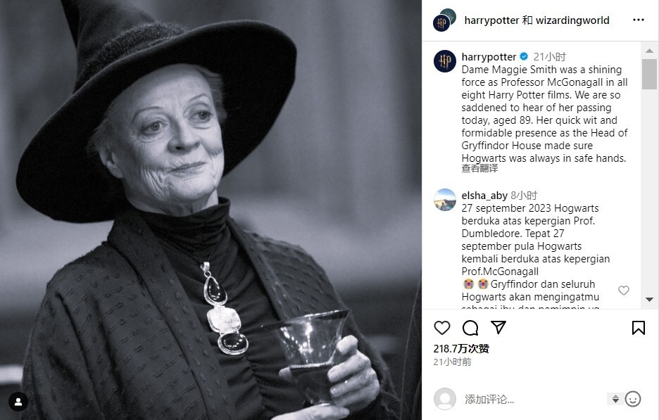 麦格教授再见！霍格沃茨三位院长，都回到了魔法世界..._腾讯新闻