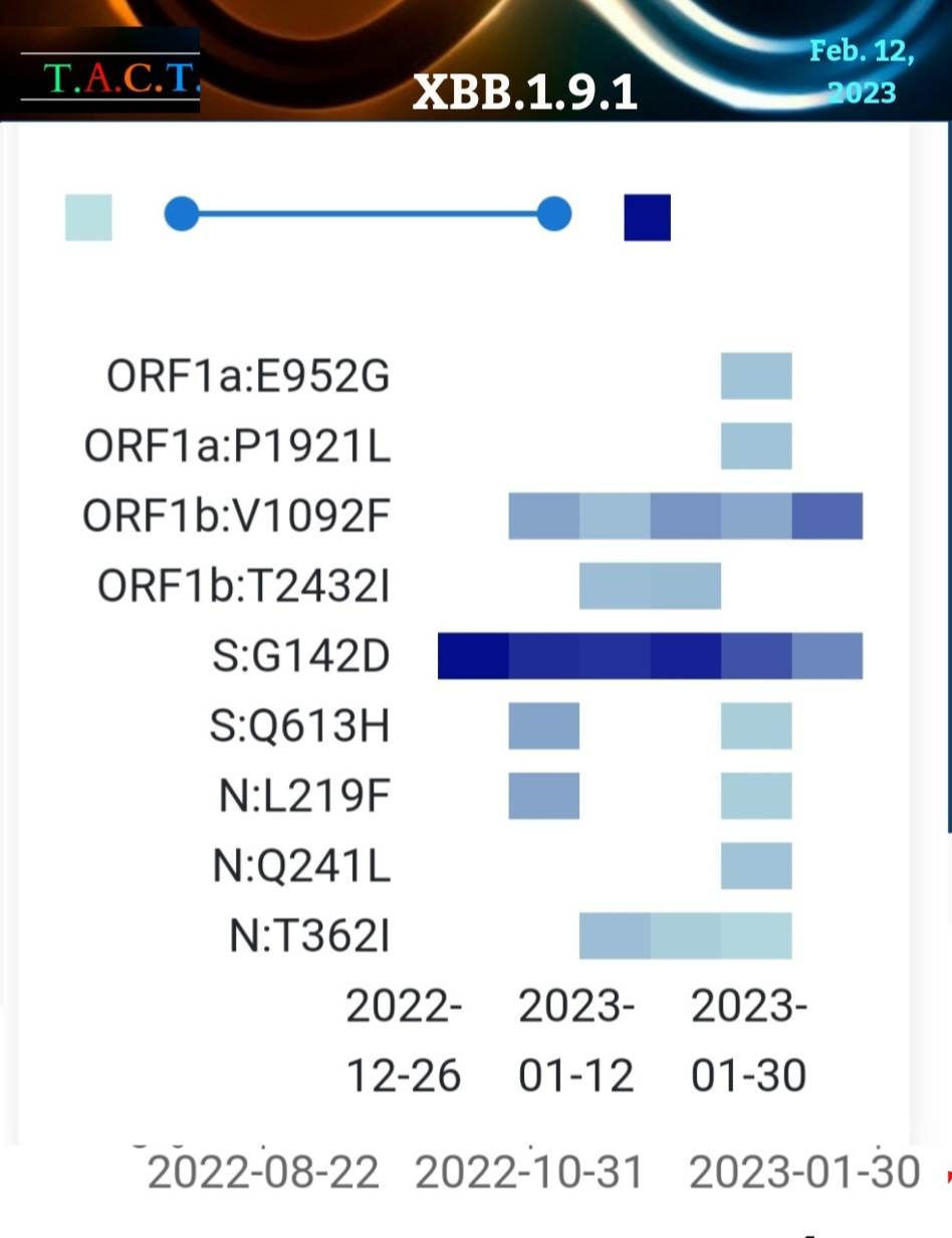 XBB1.9.1 会成为下一波流行毒株吗？_腾讯新闻