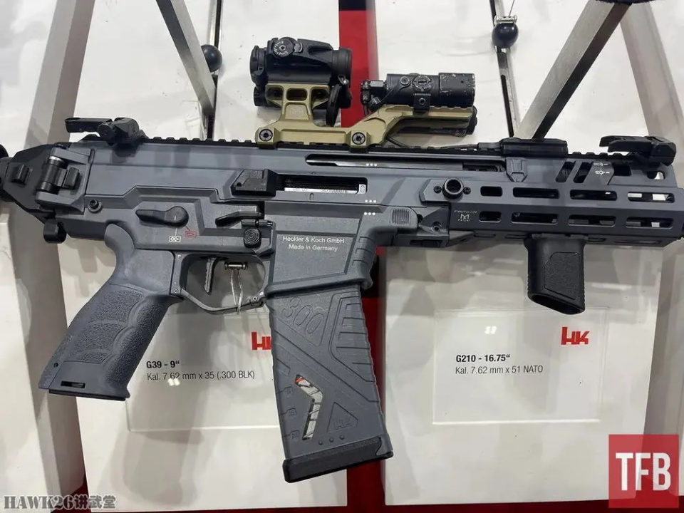 细看：黑克勒-科赫G39步枪 .300BLK口径 德国特种部队的专用武器_腾讯新闻