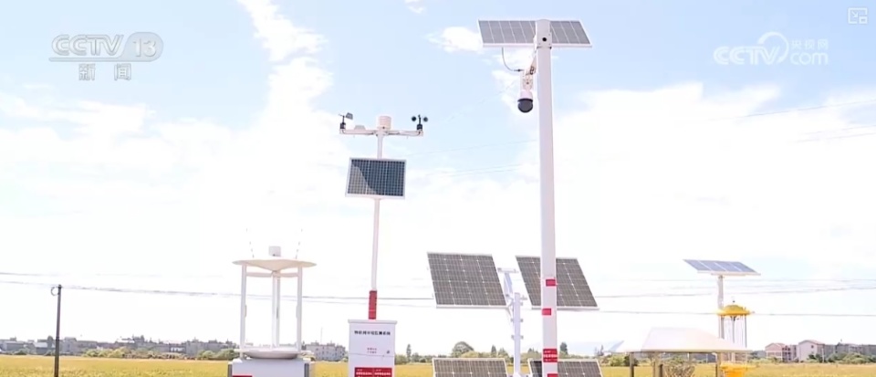 “技术宅”种地科技范儿拉满，追“新”！农业现代化插上智慧翅膀_腾讯新闻