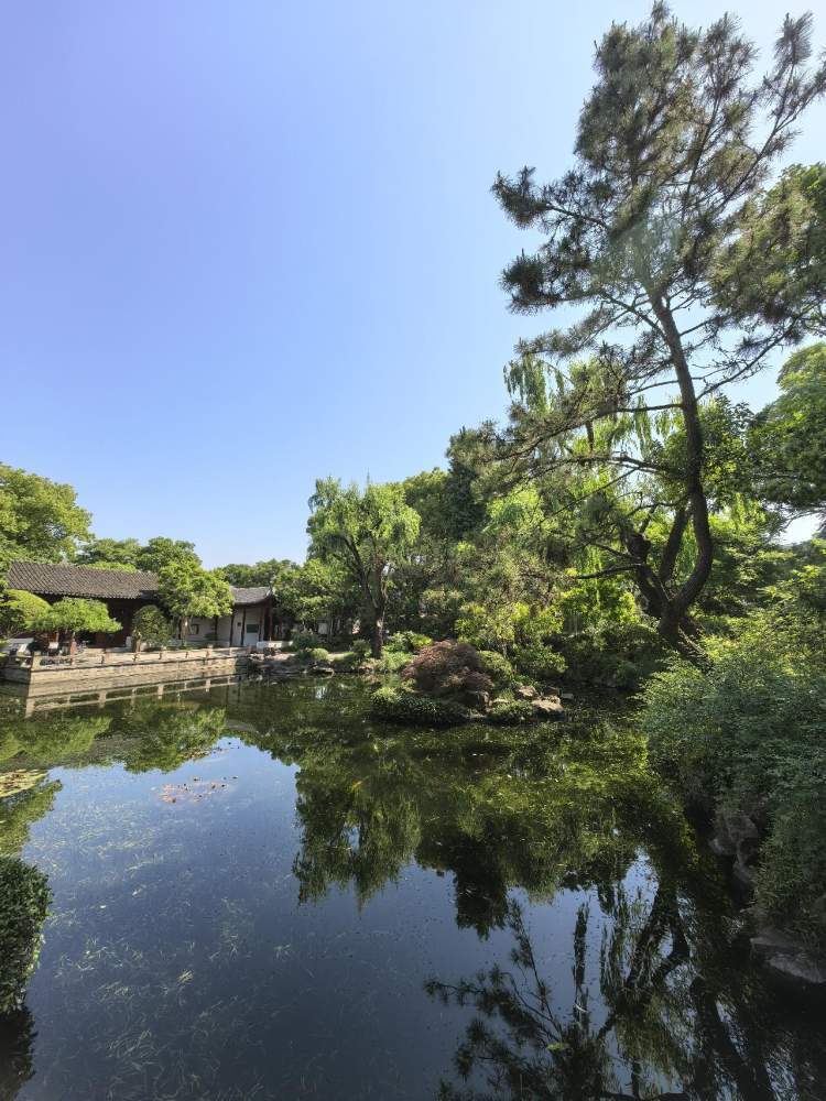 这座上海名园有一个富于诗意的园名：秋霞圃。_腾讯新闻