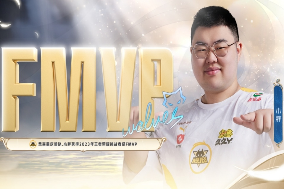 小胖正式超越暖阳，离目标还差三个冠军，FMVP皮肤给到“胖虎”_腾讯新闻