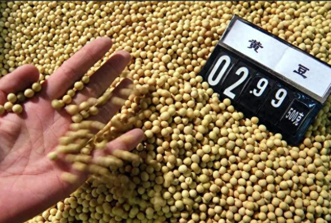 阿根廷取消大豆出口税后，到岸价比巴西低 30-40 美元，获中国订单_腾讯新闻