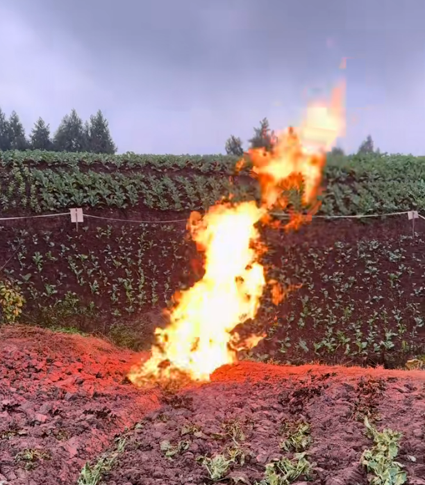 四川蓬安县一菜地持续冒火9天，判定为地表浅层燃气涌出后自燃，周围已设警示_腾讯新闻